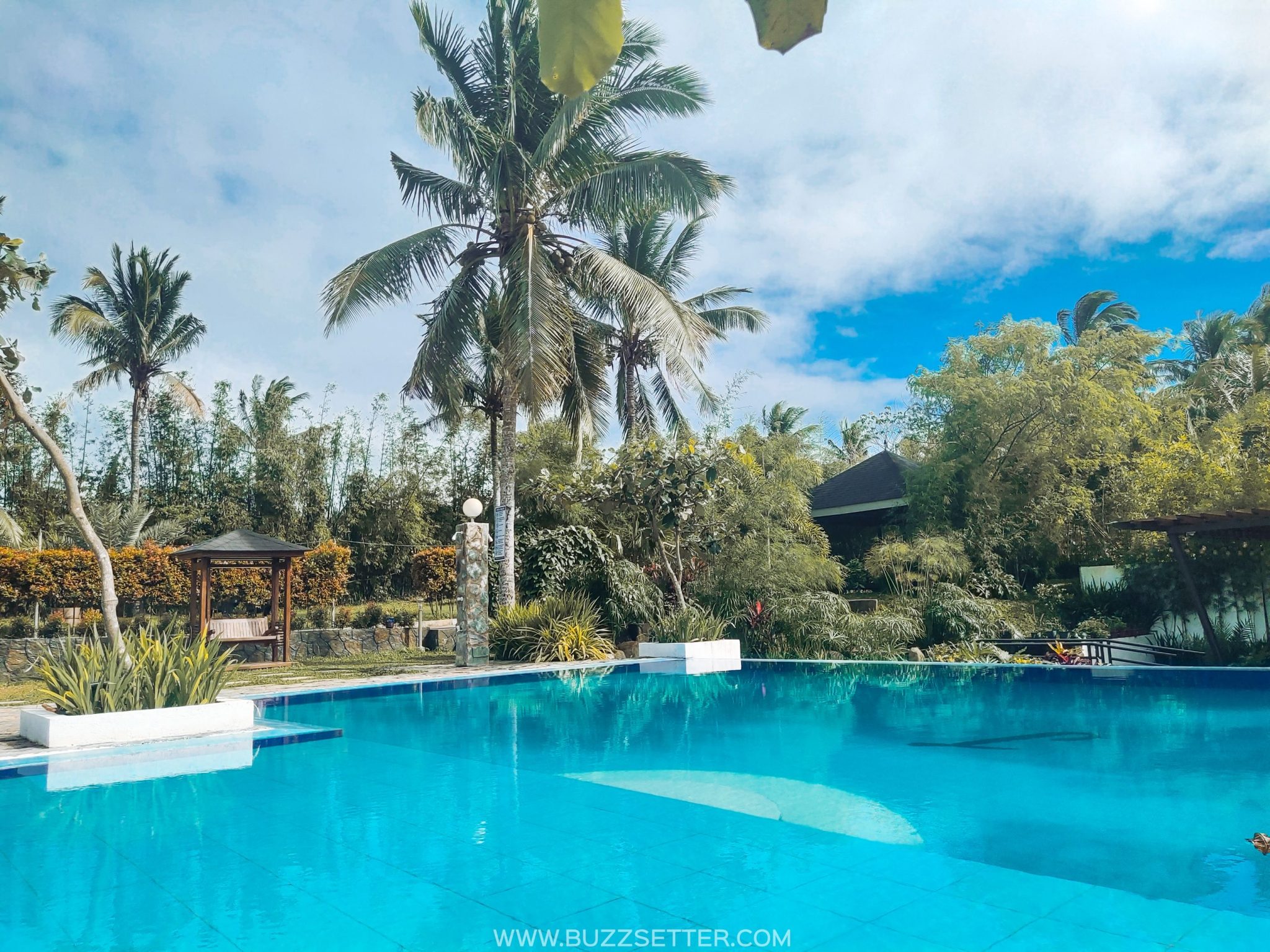 LUCIA'S TAGAYTAY: A Hidden Forest Cabin Staycation