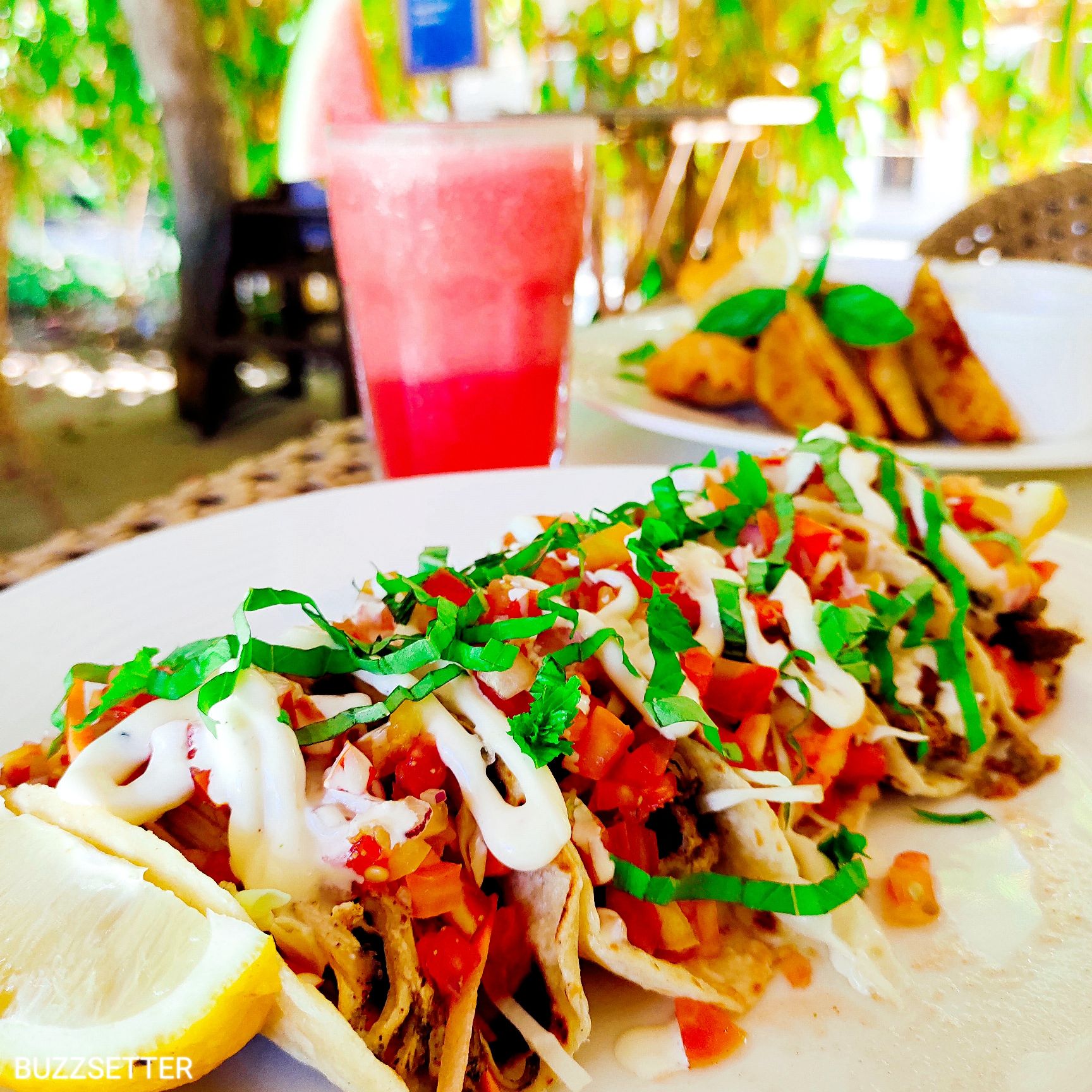 Take A Dip At Bluewater Maribago Beach Resort - Buzzsetter