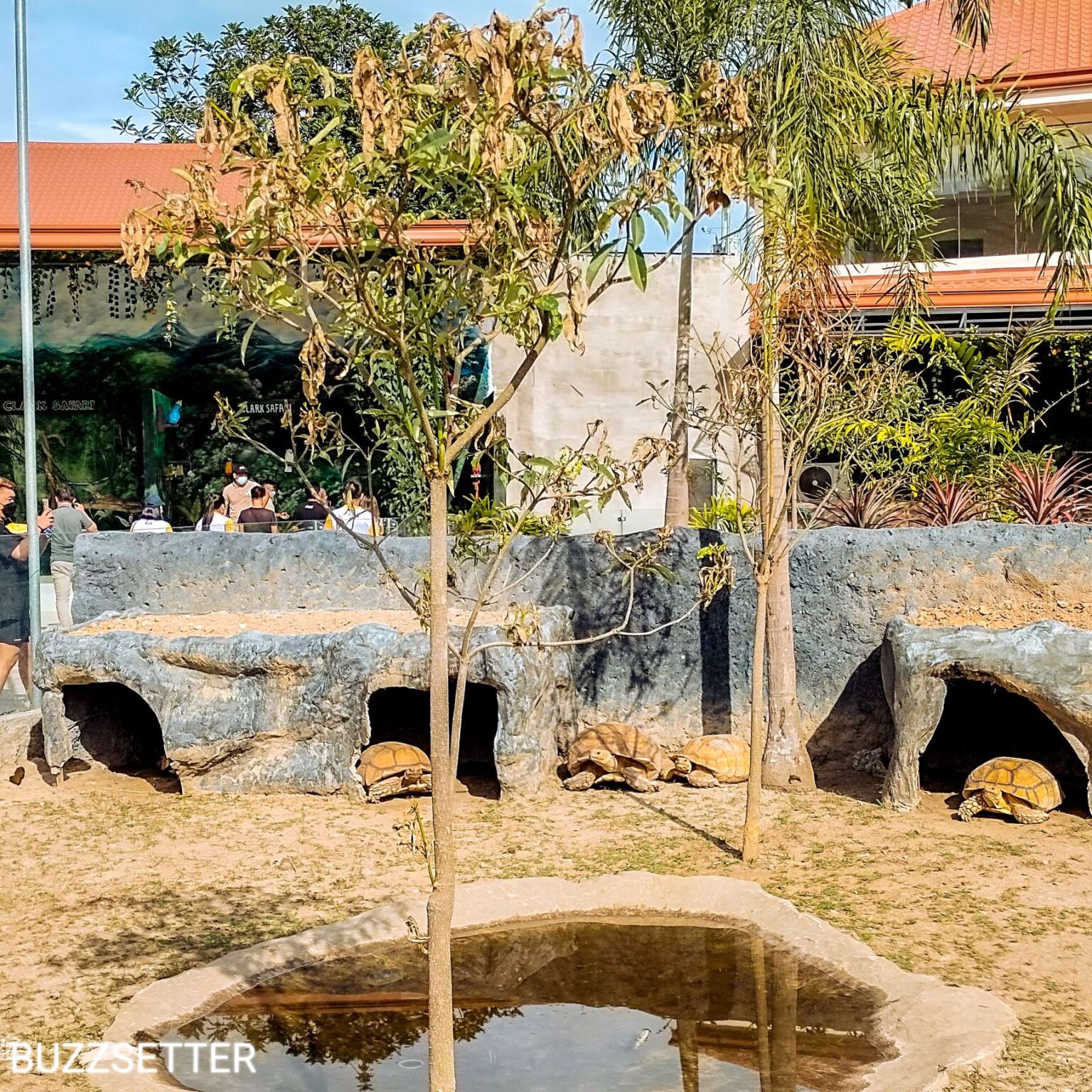 Clark Safari And Adventure Park: The NEWEST Tourist Spot In Pampanga