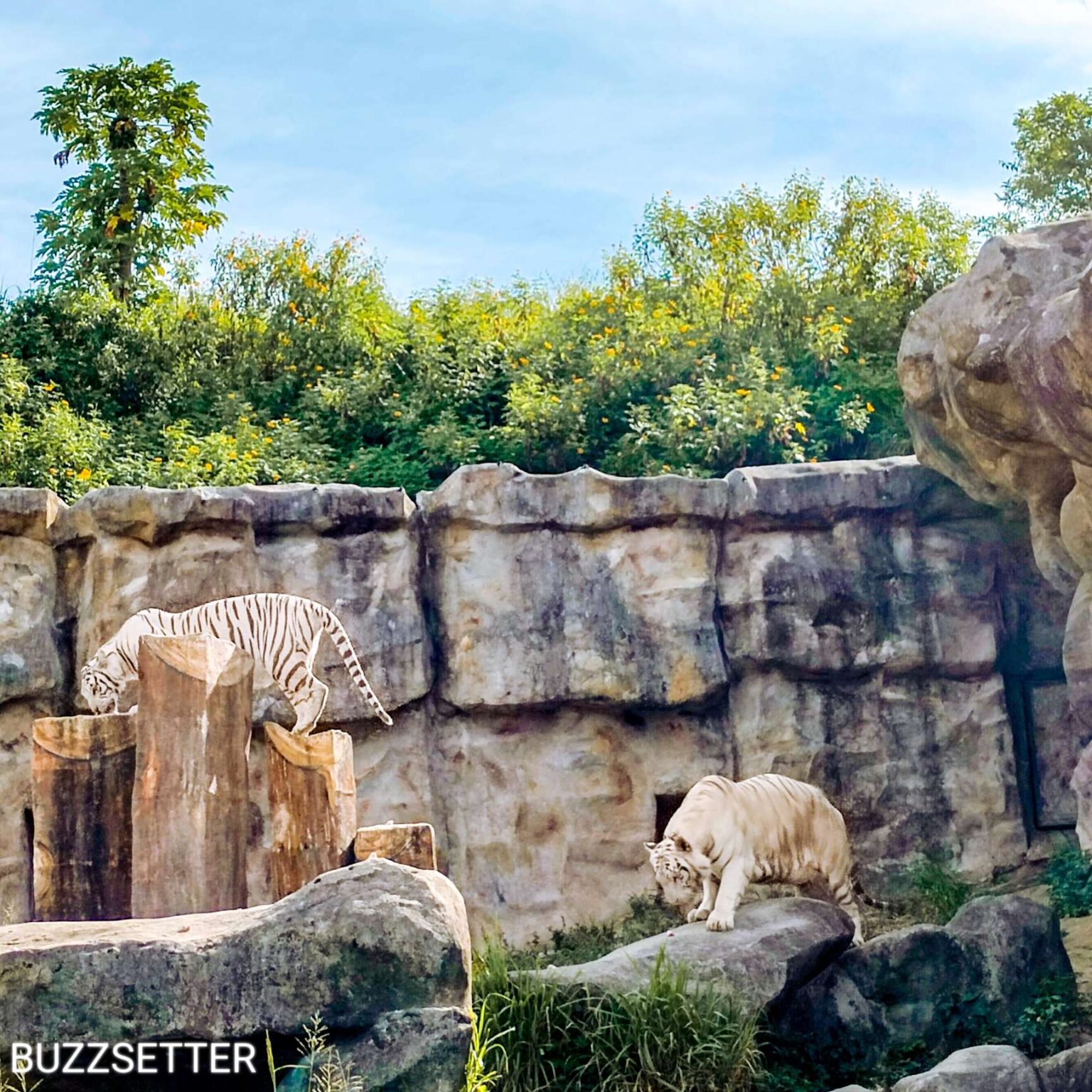 Clark Safari And Adventure Park: The NEWEST Tourist Spot In Pampanga