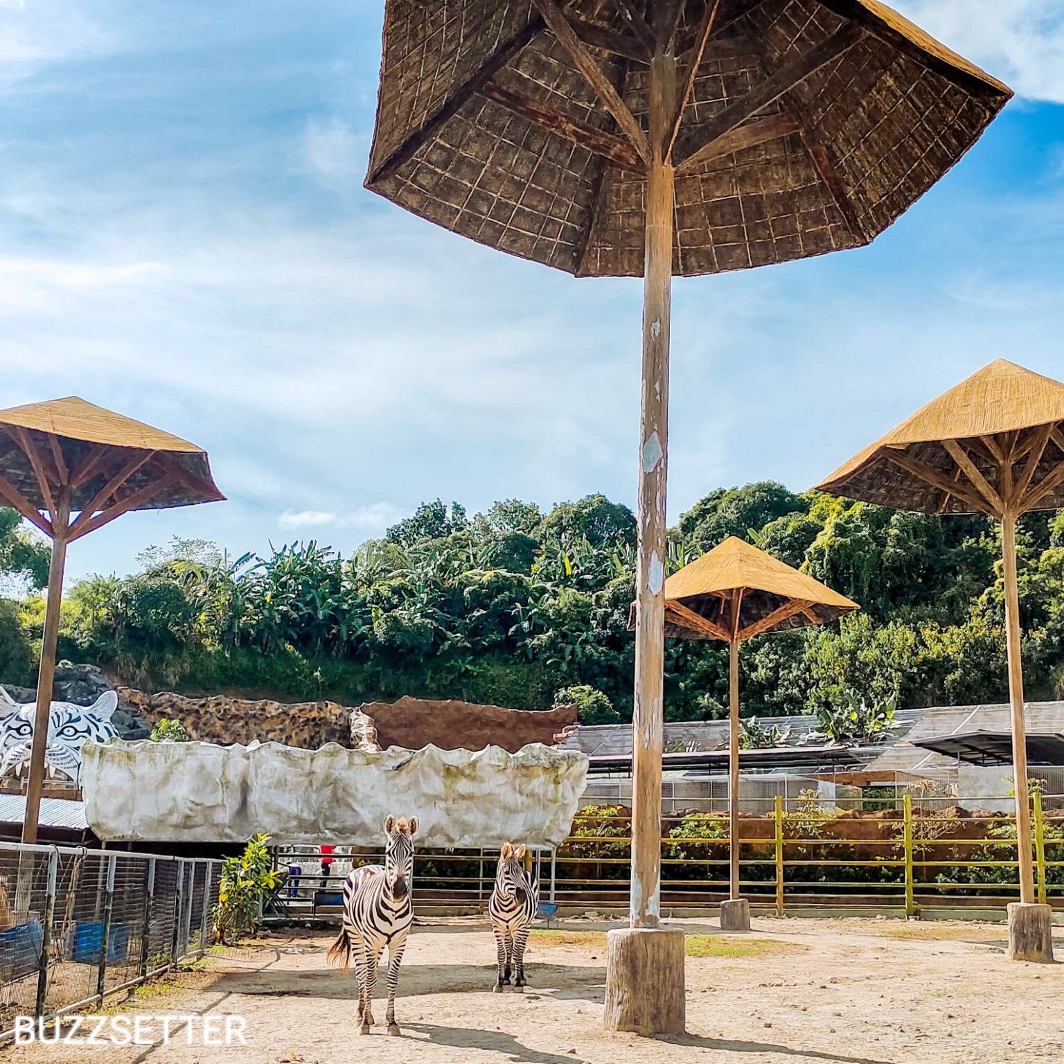 Clark Safari And Adventure Park: The NEWEST Tourist Spot In Pampanga ...