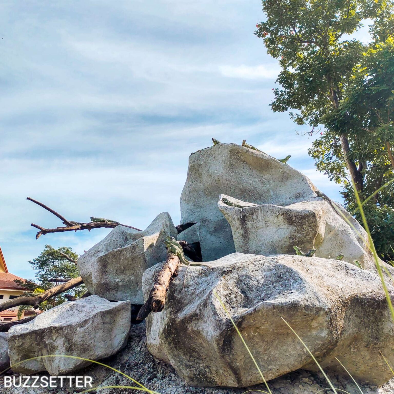 Clark Safari And Adventure Park: The NEWEST Tourist Spot In Pampanga ...