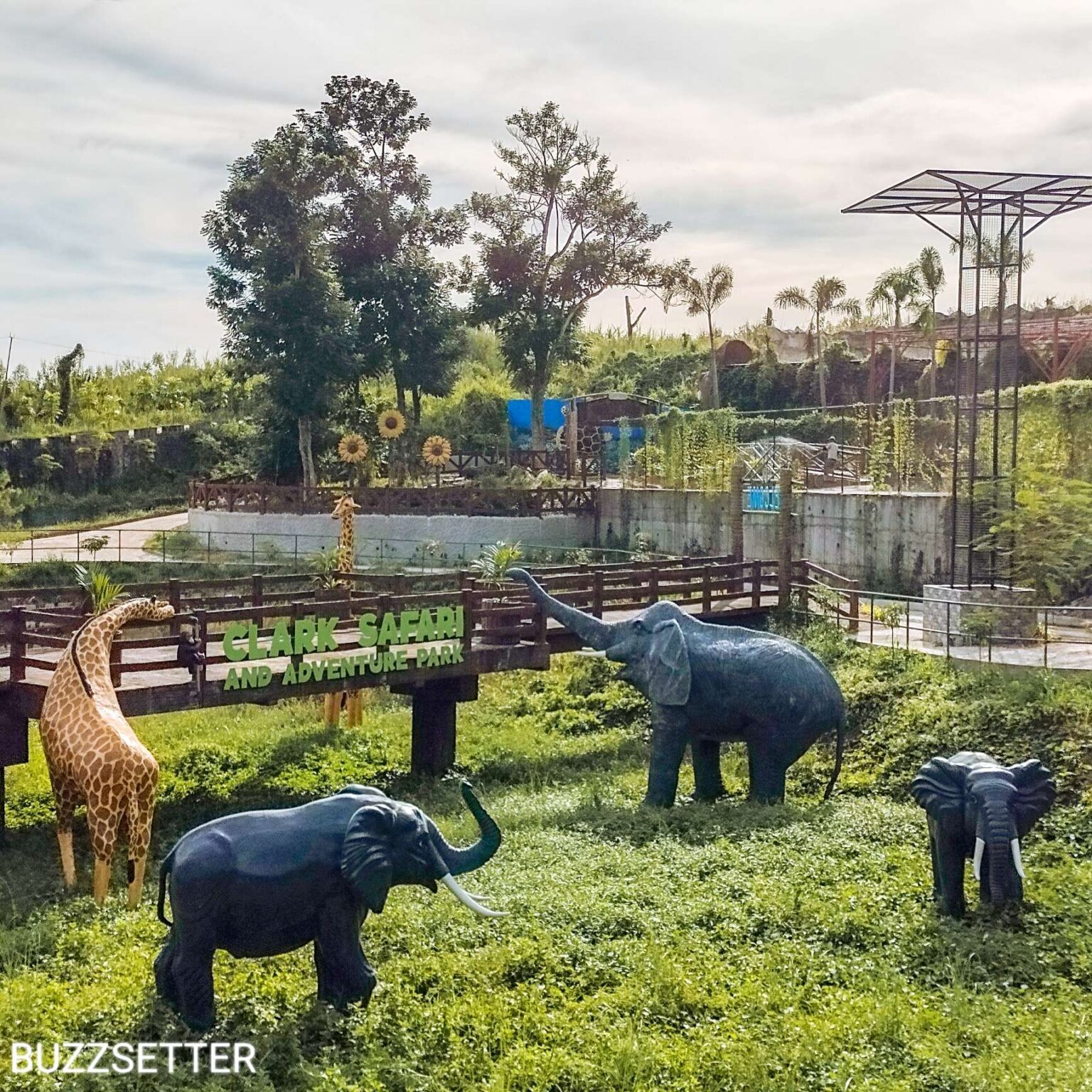 Clark Safari And Adventure Park: The NEWEST Tourist Spot In Pampanga ...