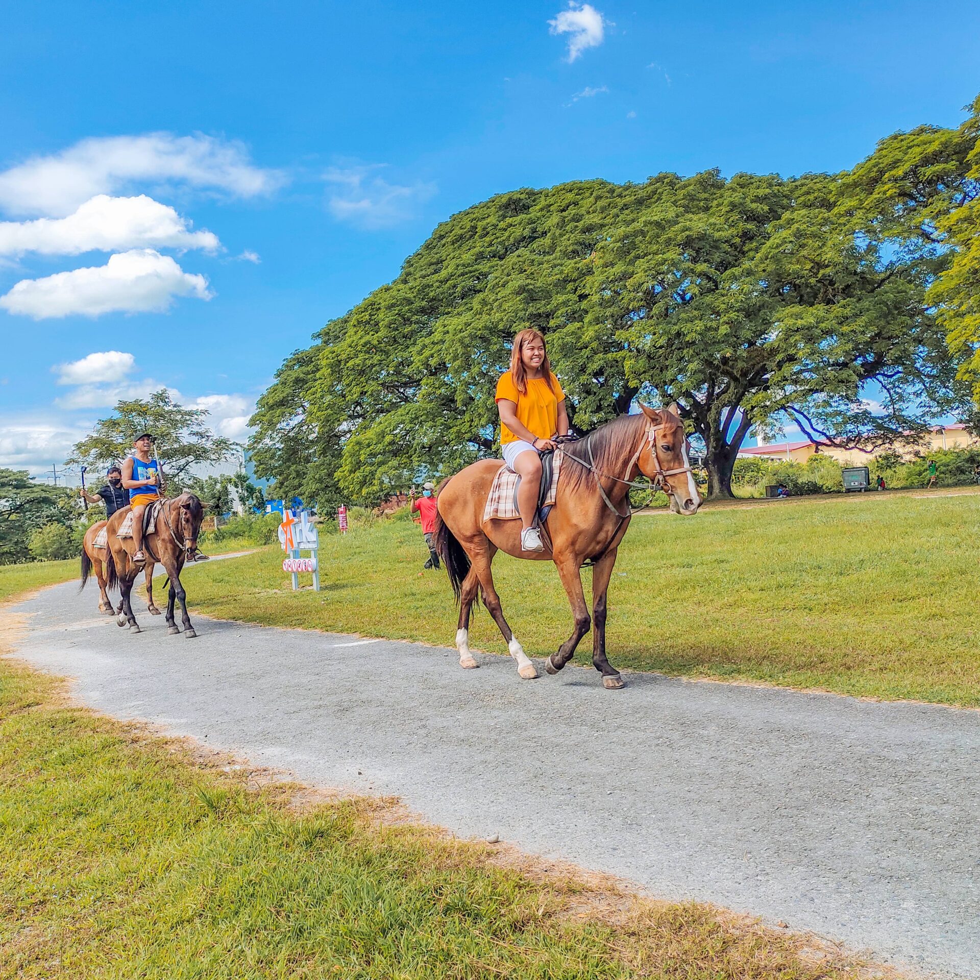 EL KABAYO: Horseback Riding + Cafe In This Old Western Town In Clark ...