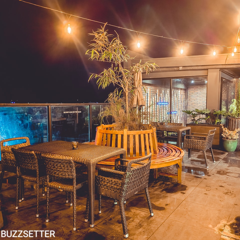 The Rooftop: Pet-Friendly Bar + Cafe In The South! - Buzzsetter