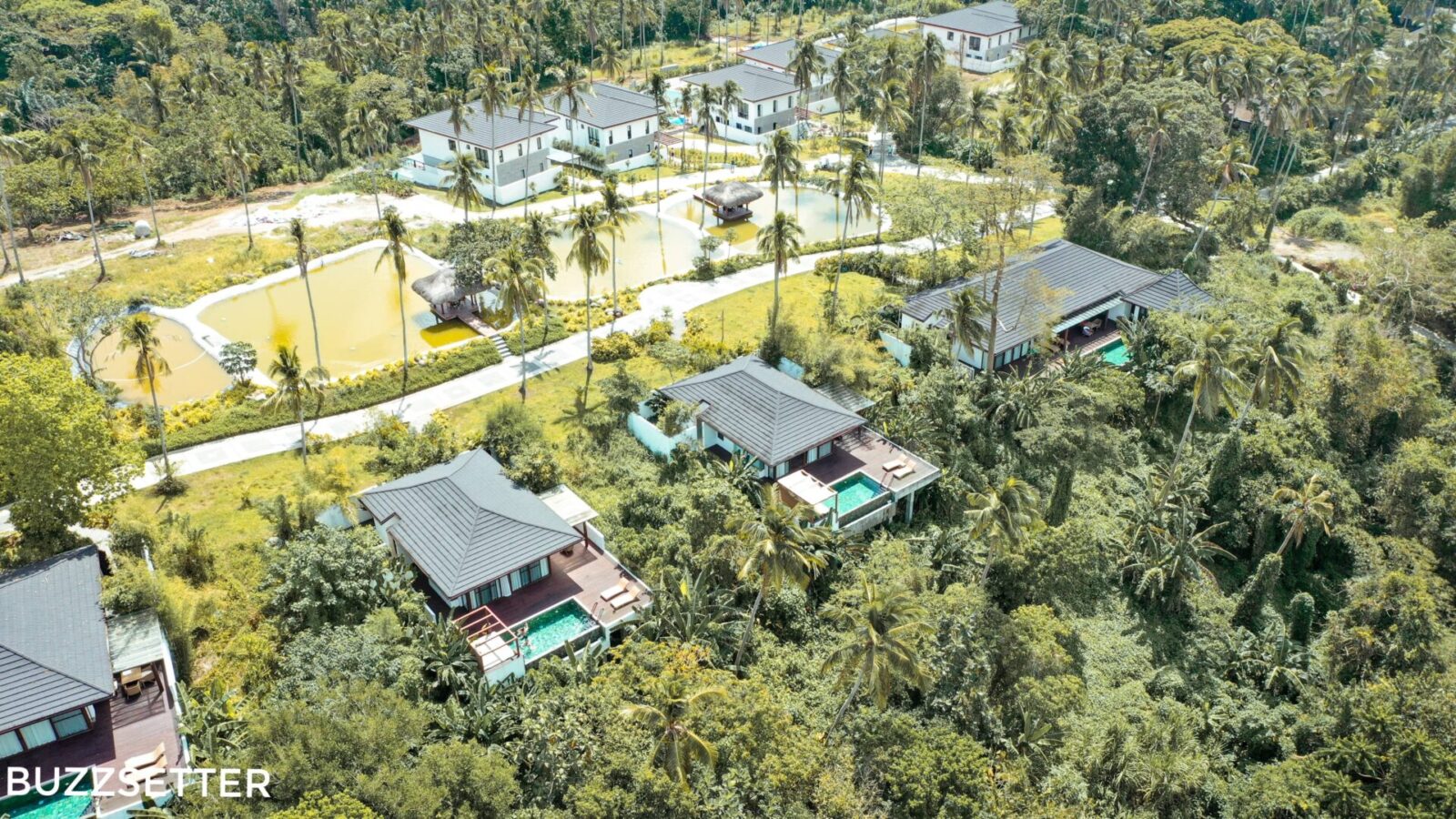 THE FARM AT SAN BENITO: Luxury Wellness Resort In Lipa, Batangas