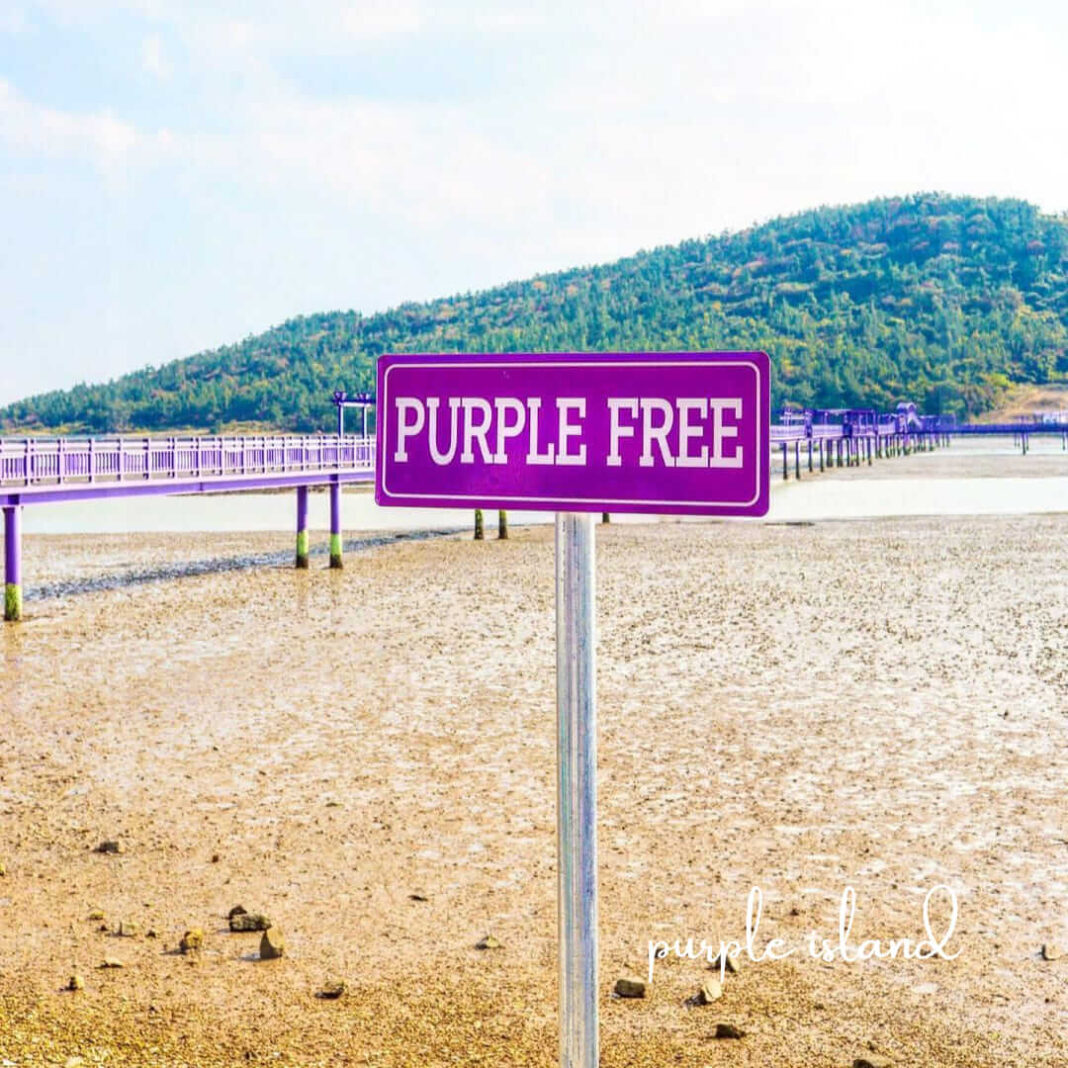 South Korea's Purple Island: Newest Tourist Attraction In Sinan County ...