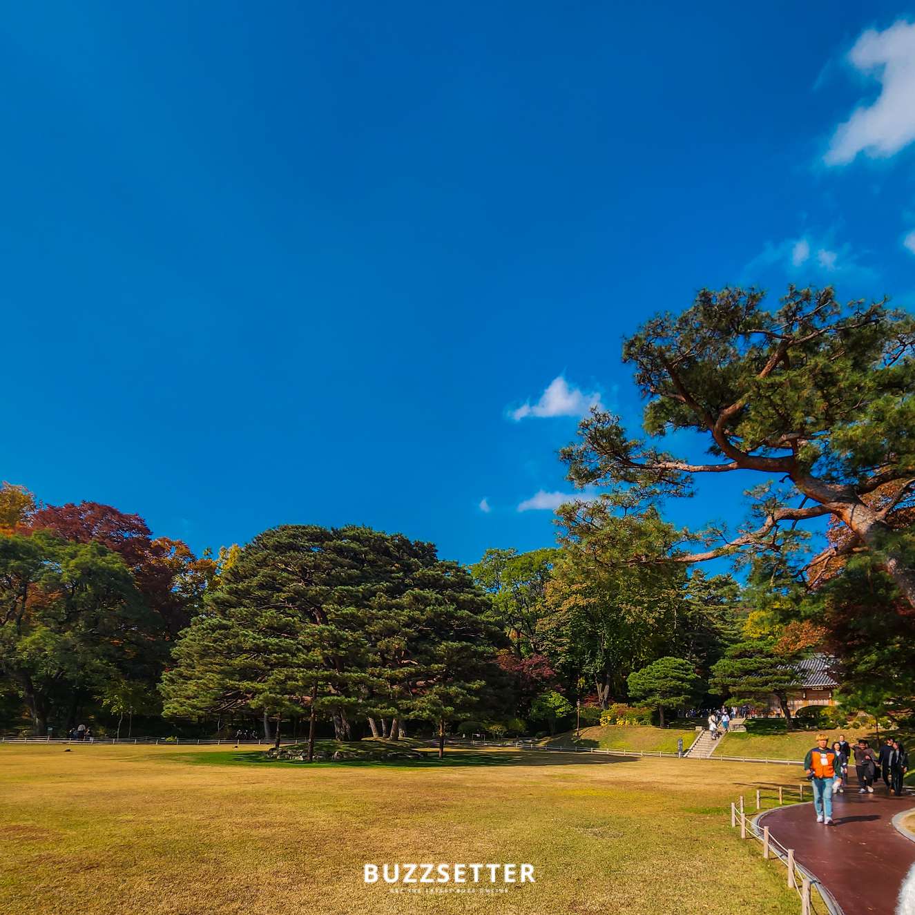 Visit The Blue House in Korea (Cheongwadae) - Buzzsetter