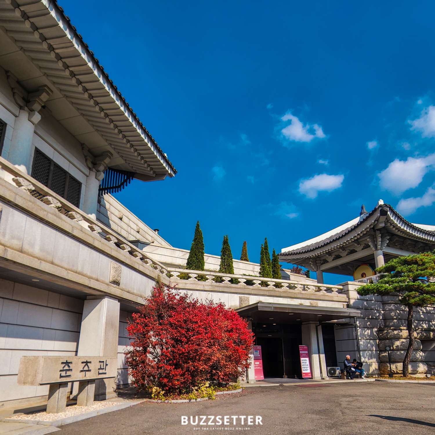 Visit The Blue House in Korea (Cheongwadae) - Buzzsetter