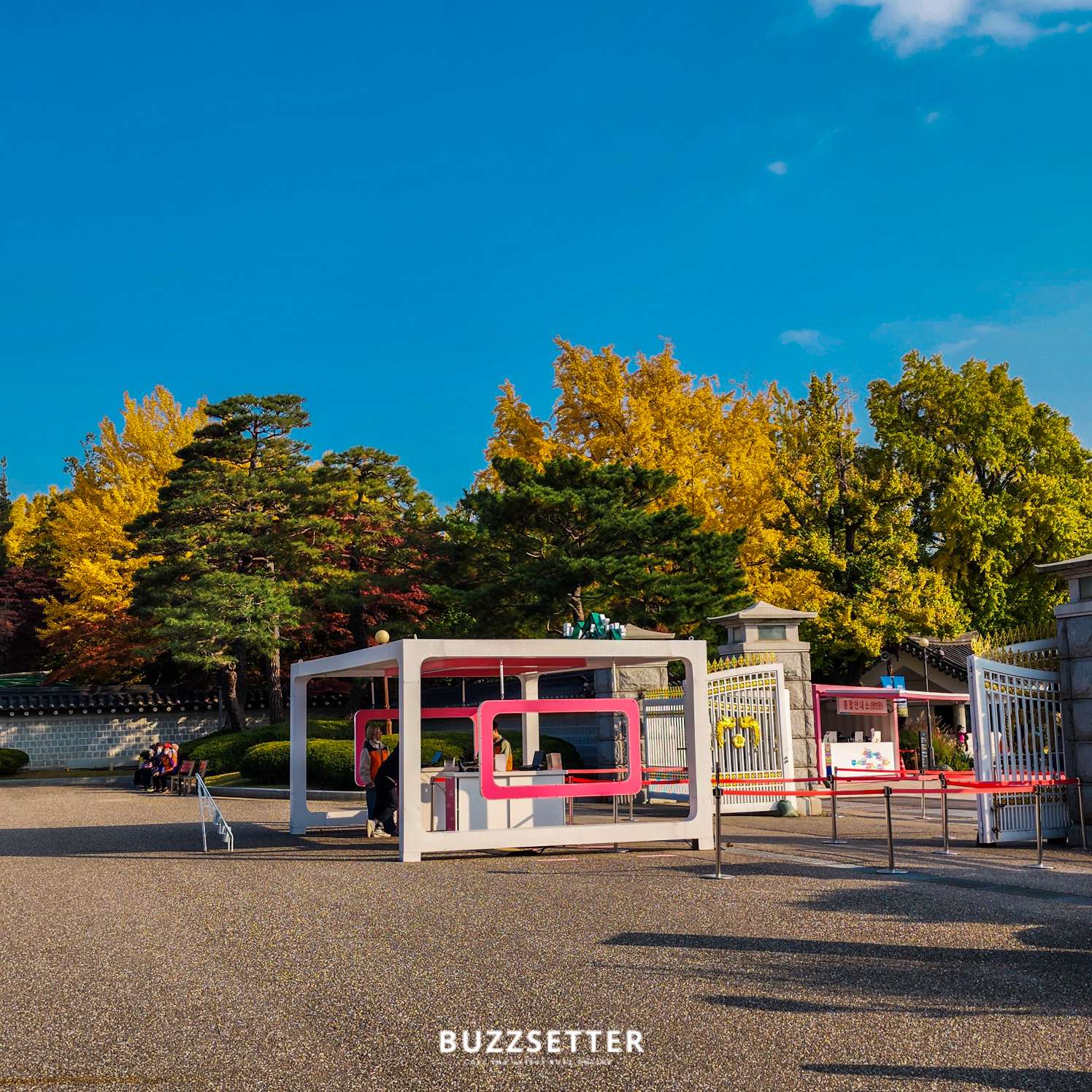 Visit The Blue House in Korea (Cheongwadae) - Buzzsetter