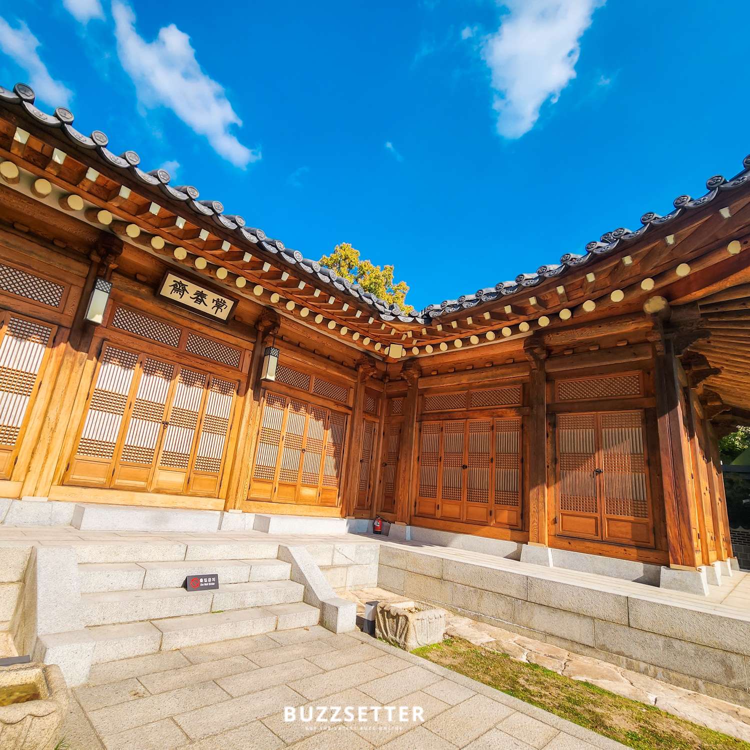 Visit The Blue House in Korea (Cheongwadae) - Buzzsetter