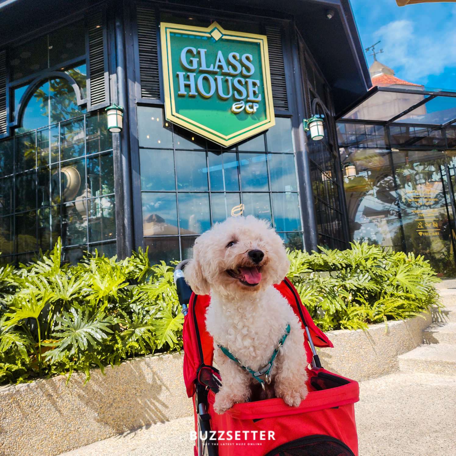 GLASS HOUSE: Majestic Coffee Wonderland In Alabang